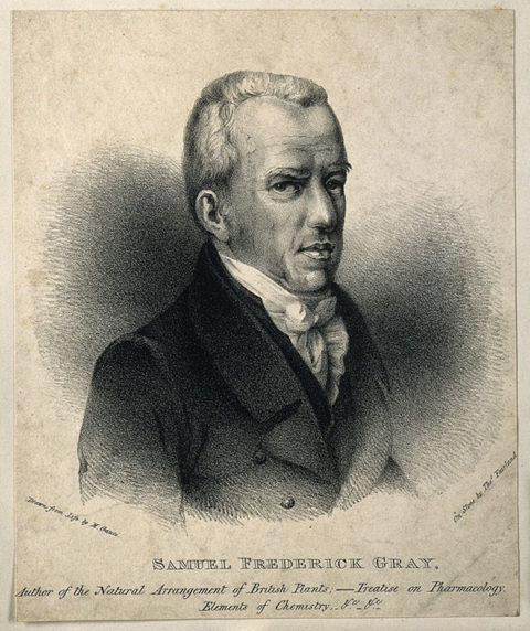 Samuel Frederick Gray (1766 - 1828) - Pilztag